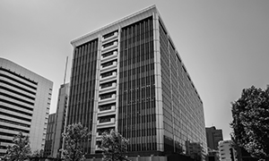 Tokai Carbon Co., Ltd.